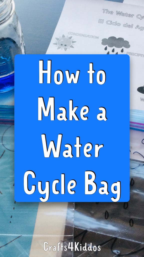 How to Make a Water Cycle Bag